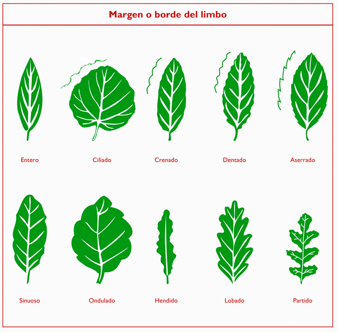 BIODIVERSIDAD